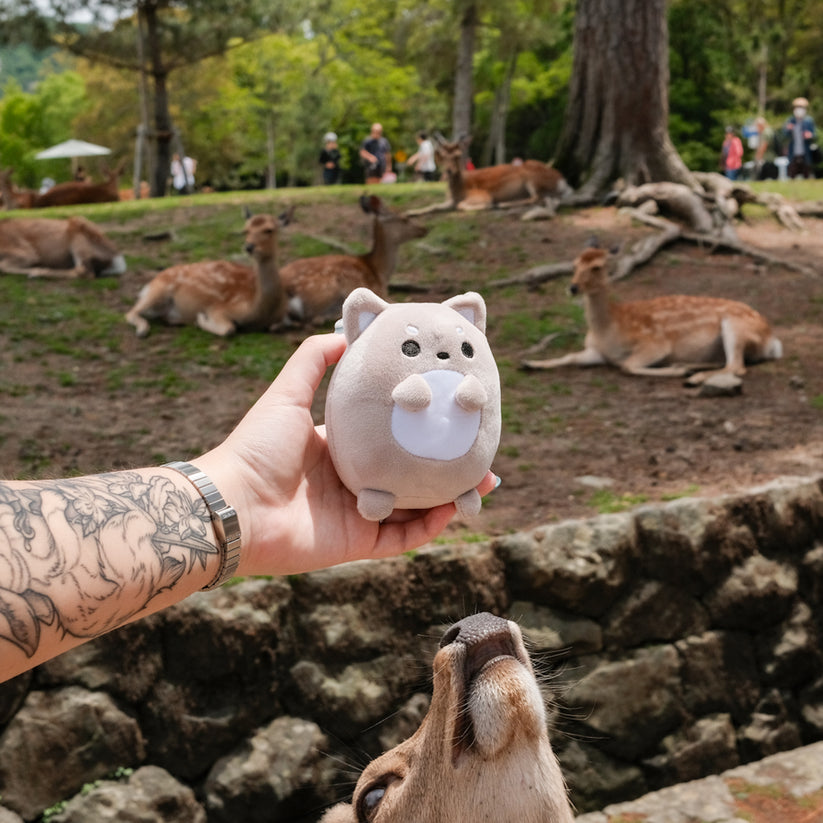 Wolfy Plushie – Pigeoncrafts